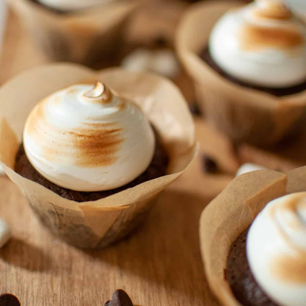 Toasted S'mores Cupcake with Graham Cracker Crust